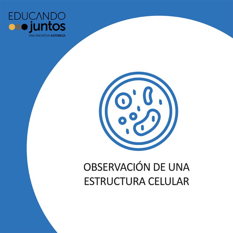 OA: 1 | Educando Juntos